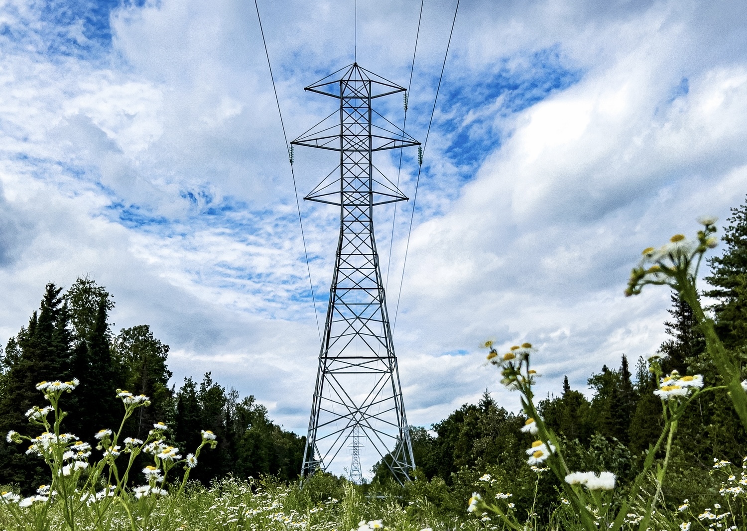 Powering Progress Initiative | Electricity Canada